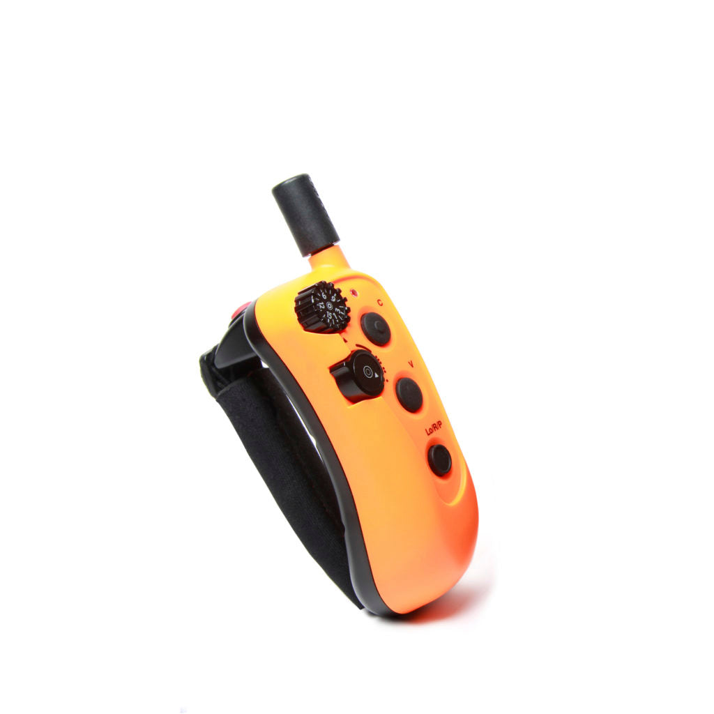 REPLACEMENT TRANSMITTER RAPT1450 – DT Systems