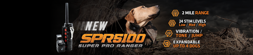 DT SYSTEMS – DT Systems