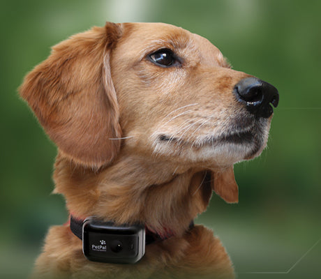 DT SYSTEMS – DT Systems